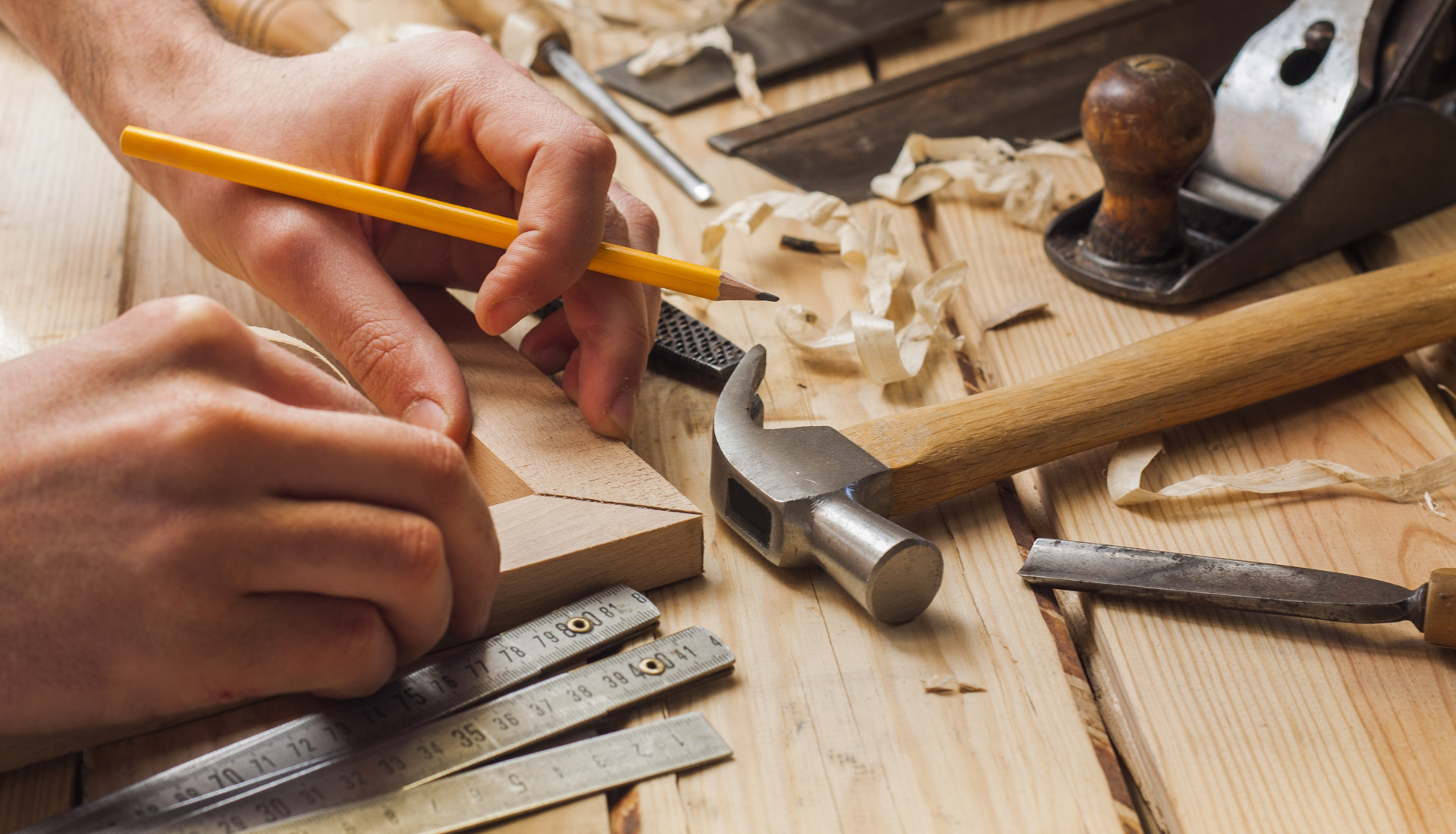 Meet Animal Carpentry | Future Advisory